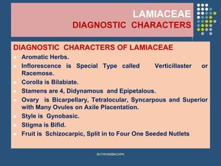 1 7 Taxonomy -Lamiaceae | PDF