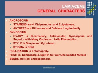 1 7 Taxonomy -Lamiaceae | PDF