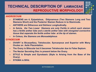 1 7 Taxonomy -Lamiaceae | PDF