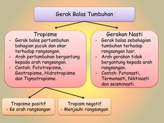 1 9-gerak-balas-dalam-tumbuhan | PPTX
