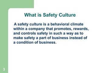 1-Achieving Safety Culture HSE Professionals.pptx