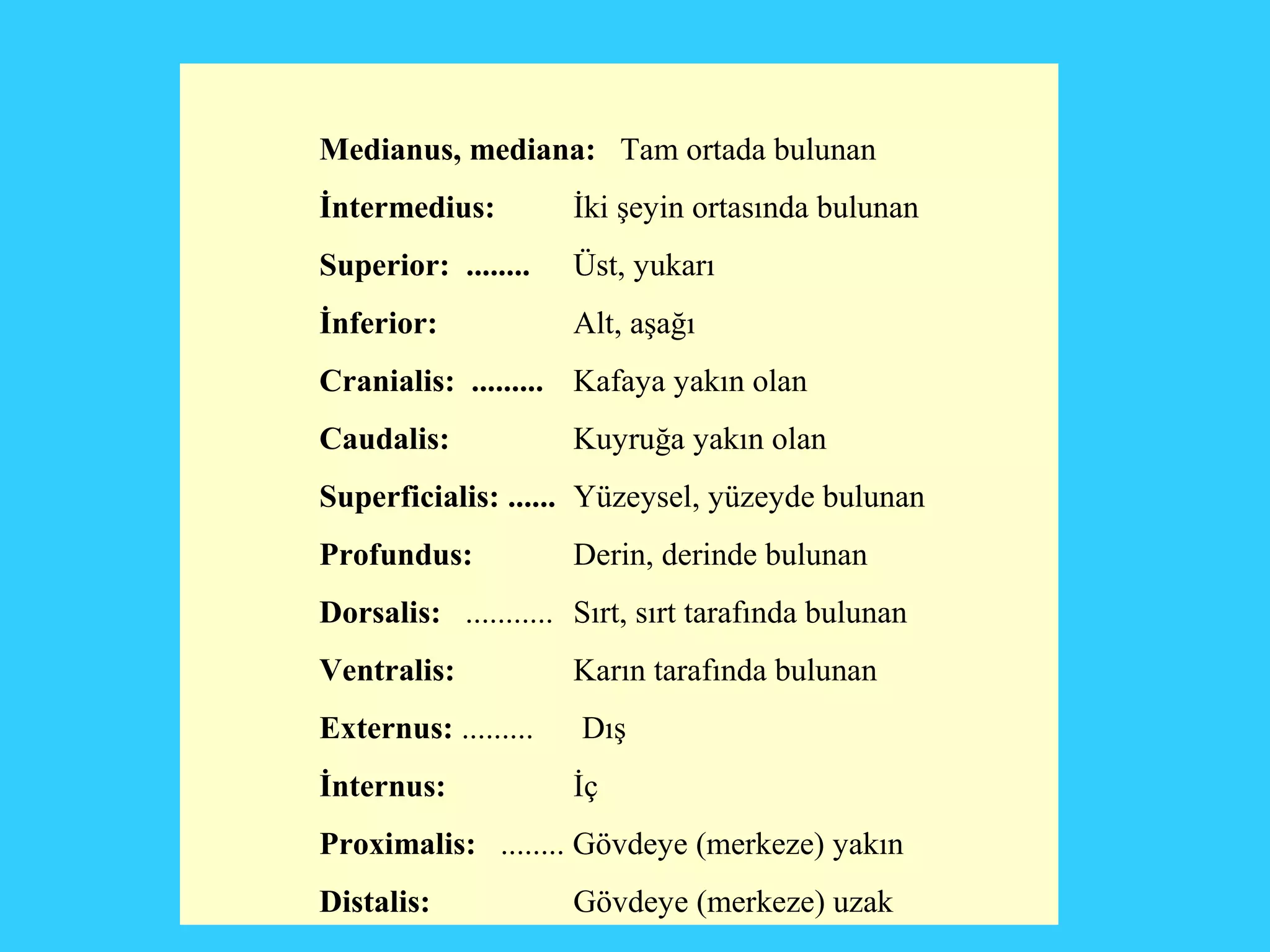 Anatomi Omurlar | PPT