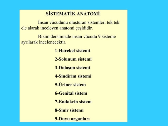 Anatomi Omurlar | PPT