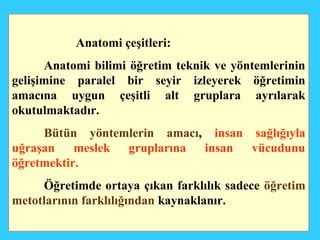 Anatomi Omurlar | PPT