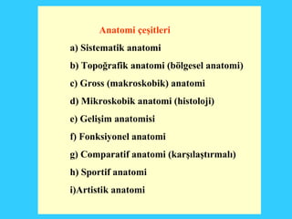 Anatomi Omurlar | PPT