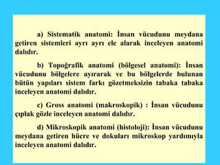 Anatomi Omurlar | PPT