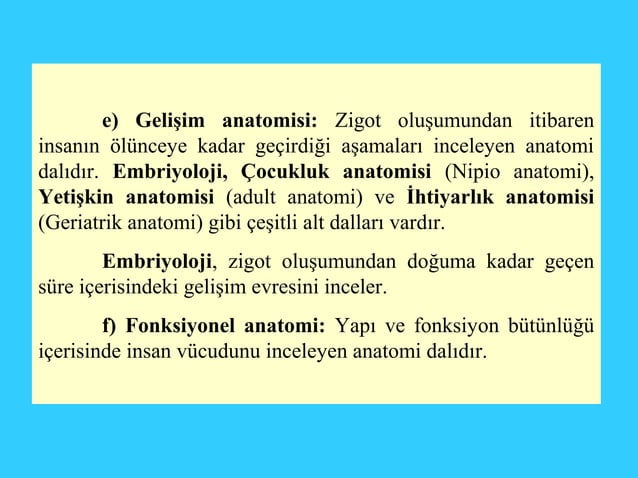 Anatomi Omurlar | PPT