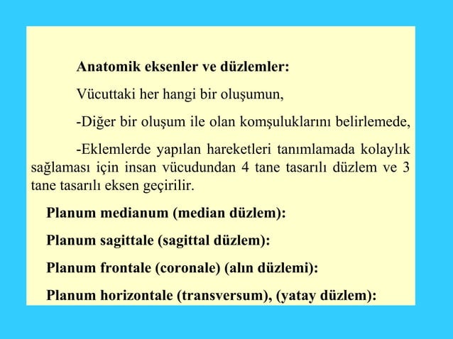 Anatomi Omurlar | PPT