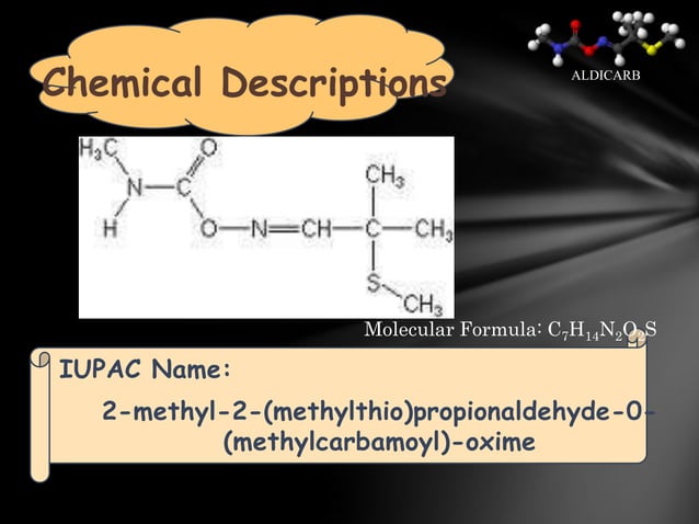 1. aldicarb ng swee ching | PPT