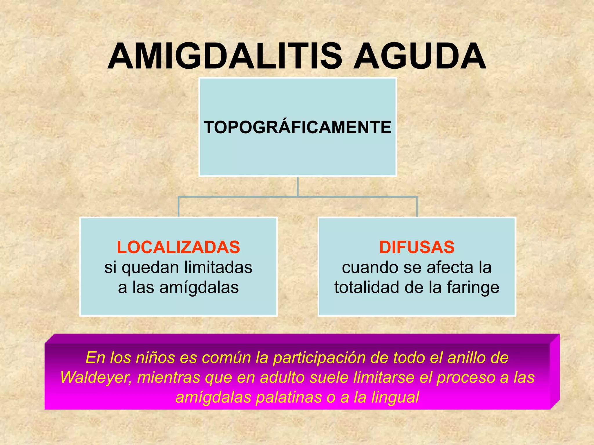 1. amigdalitis aguda | PPT