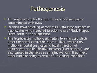 AMOEBIASIS | PPT