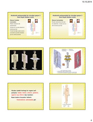 1 anatomi-giris-shmyo | PDF