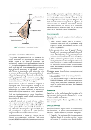1 anatomia del-aparto_genital_femenino | PDF