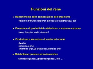 1. anatomia e fisiologia | PPT