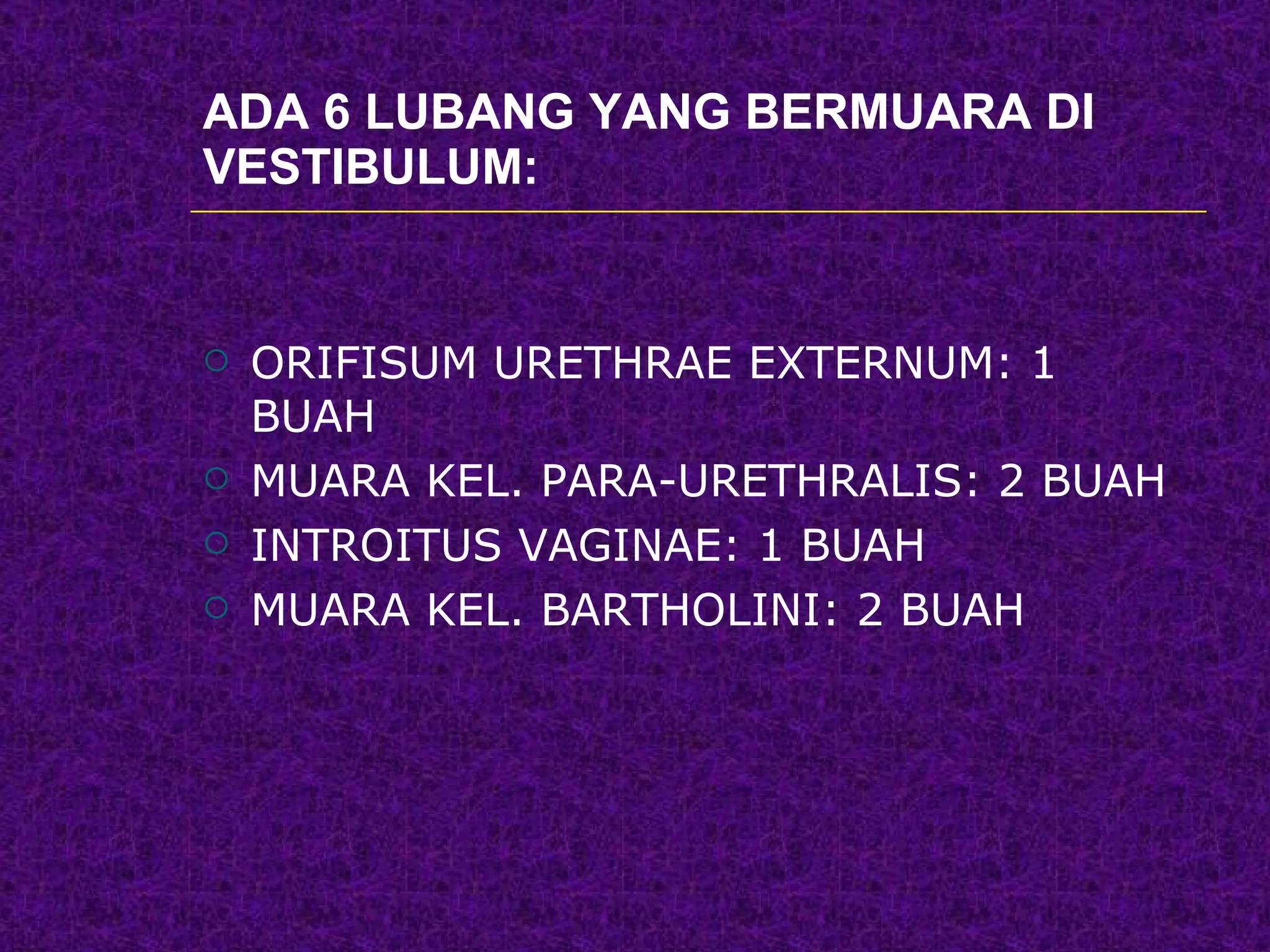 1.anatomi alat reproduksi wanita | PPT