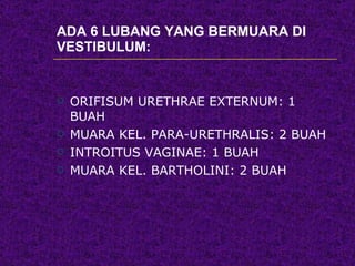 1.anatomi alat reproduksi wanita | PPT