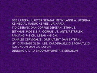 1.anatomi alat reproduksi wanita | PPT