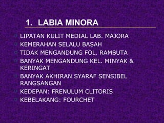 1.anatomi alat reproduksi wanita | PPT