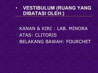 1.anatomi alat reproduksi wanita | PPT