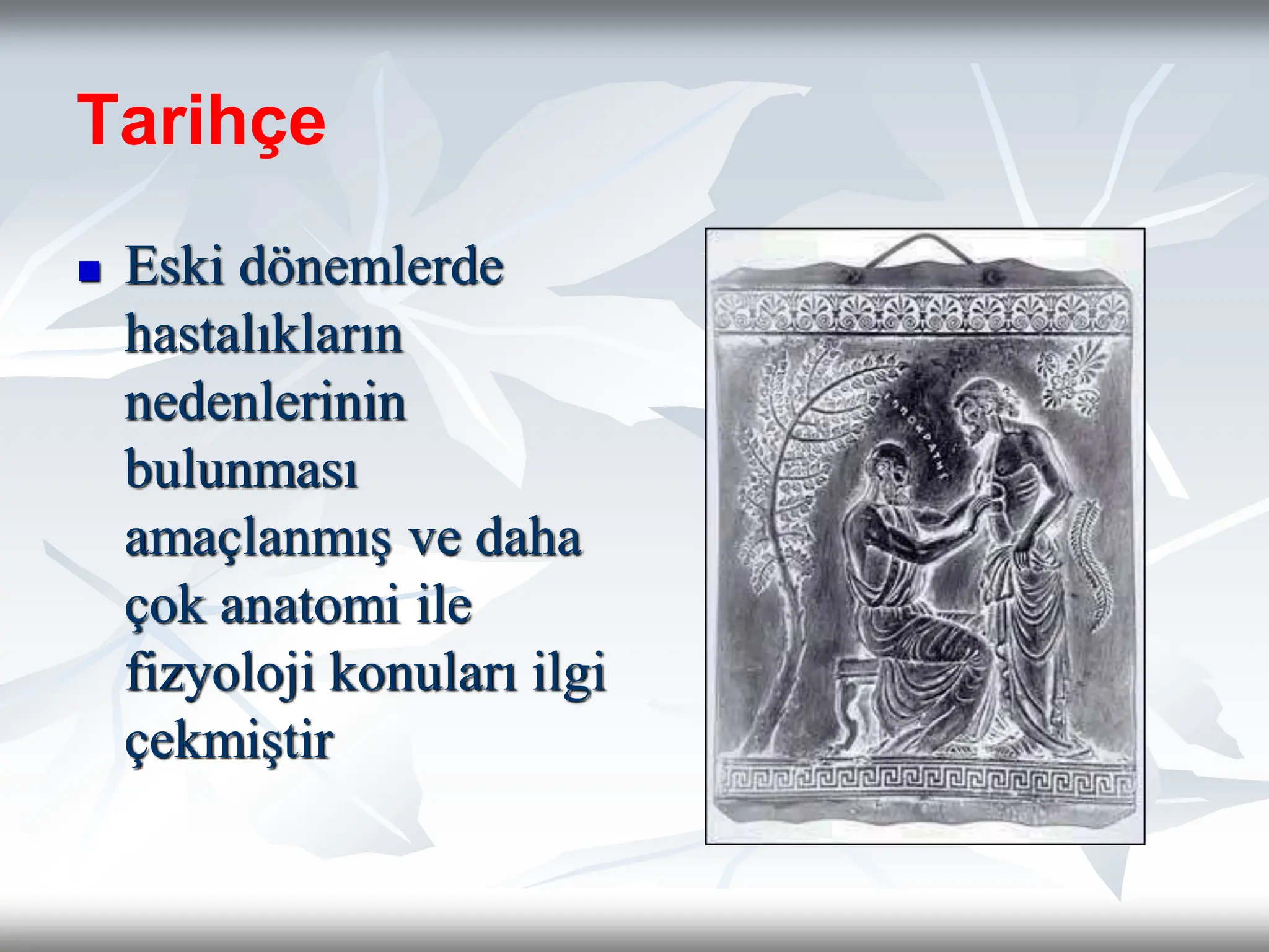 1- Anatomi firt simple anatomi basıit anatomi | PPT
