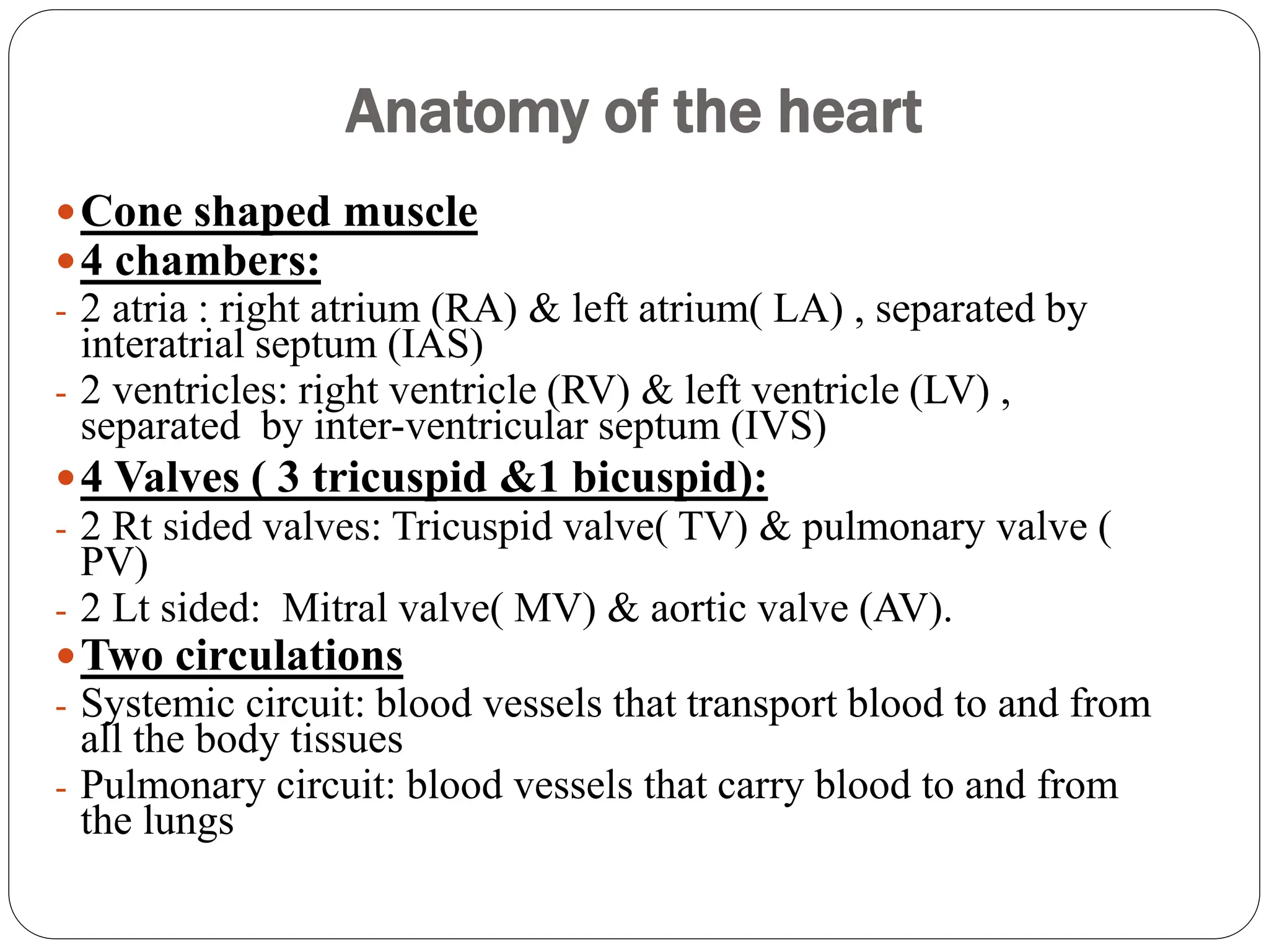 1-anatomy basic lecture for first semester.pdf
