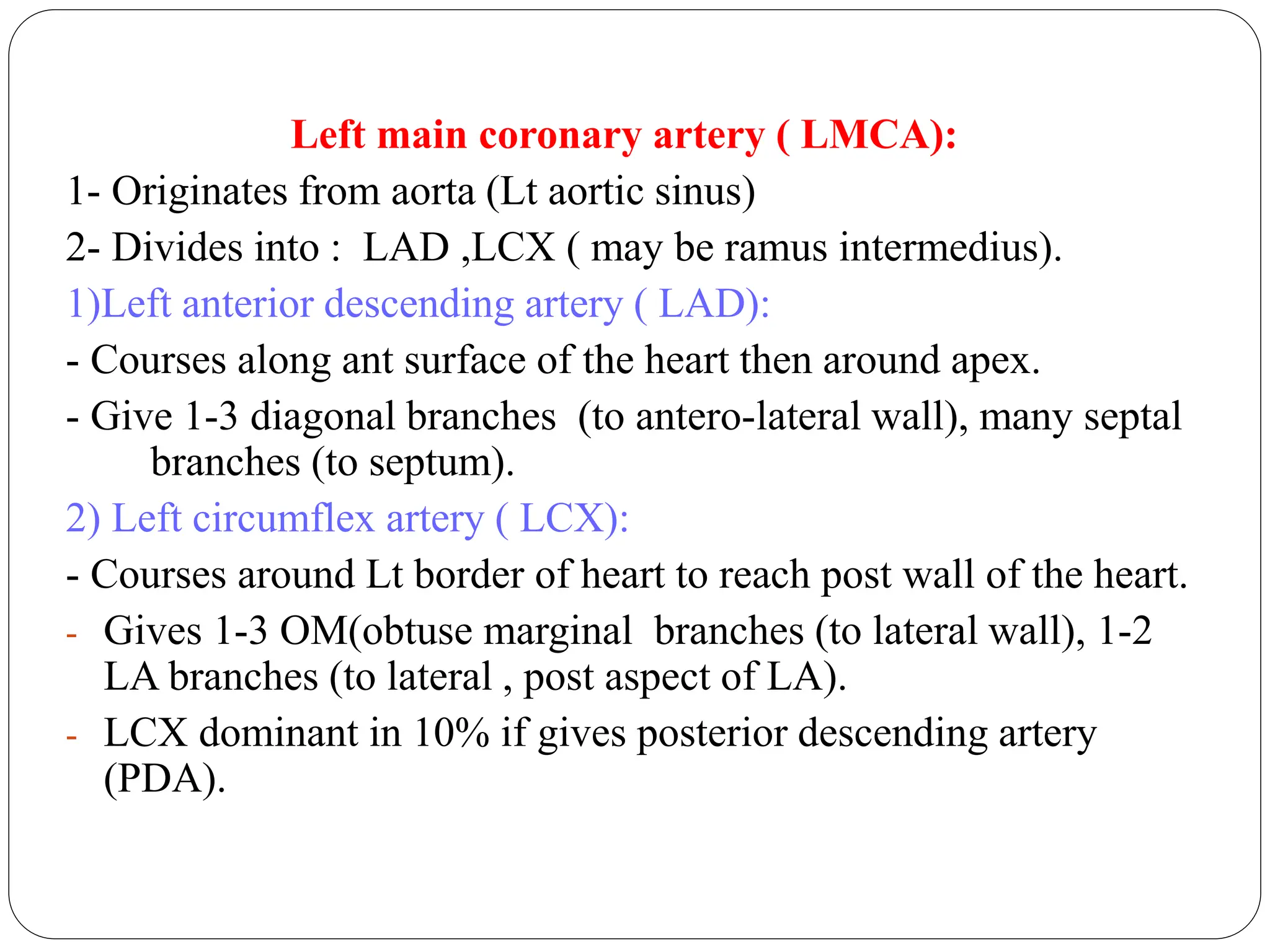 1-anatomy basic lecture for first semester.pdf