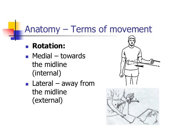 #1 anatomy-anatomical overview