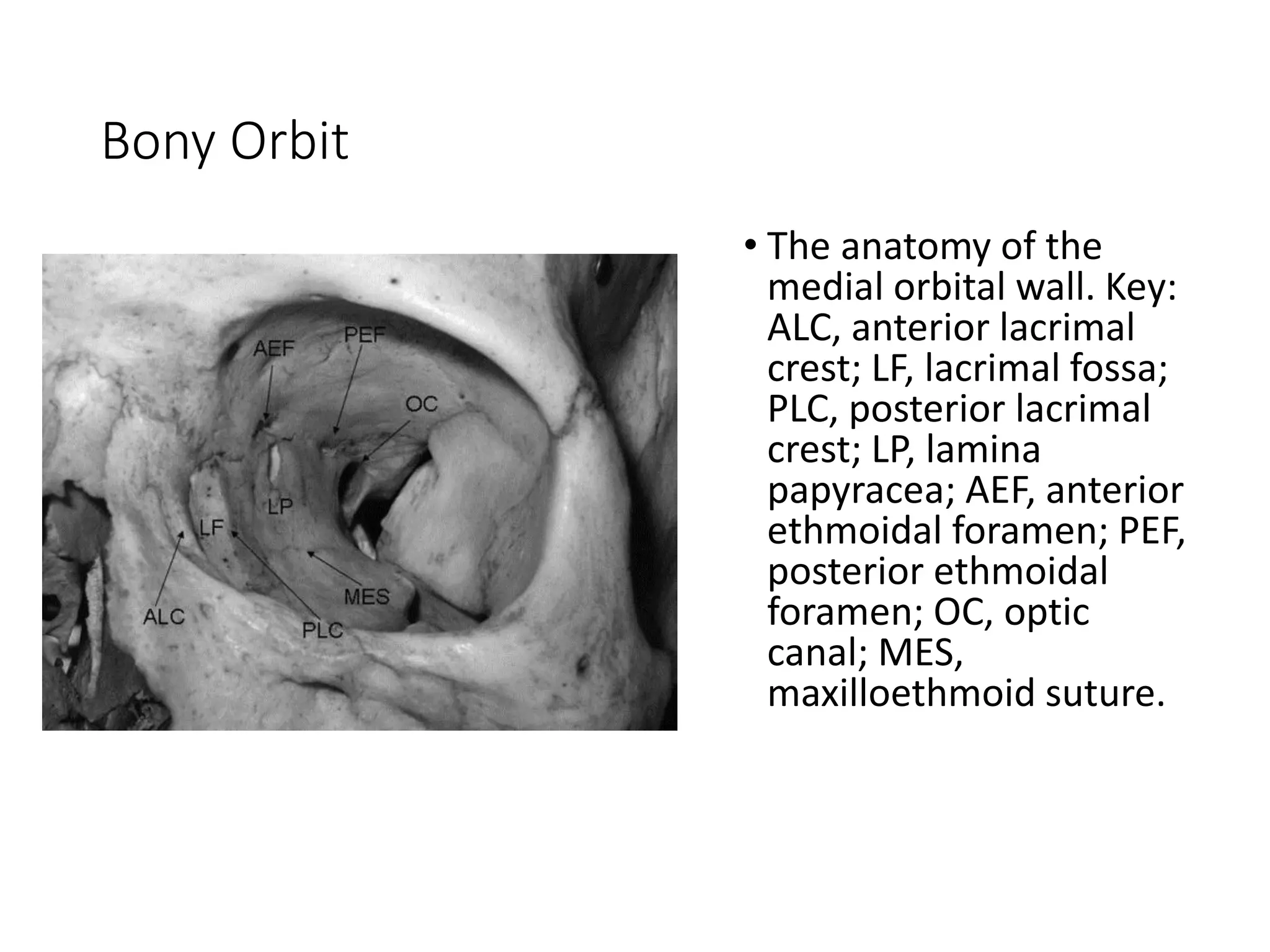 1-Anatomy-and embryology lecture of-the-EYE.pdf