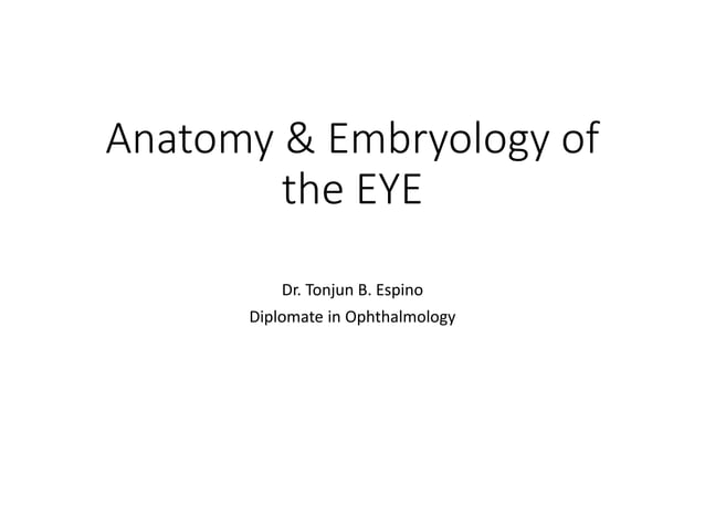 1-Anatomy-and embryology lecture of-the-EYE.pdf | Eye and Vision ...