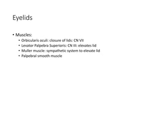 1-Anatomy-and embryology lecture of-the-EYE.pdf