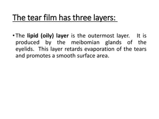 1-Anatomy-and embryology lecture of-the-EYE.pdf