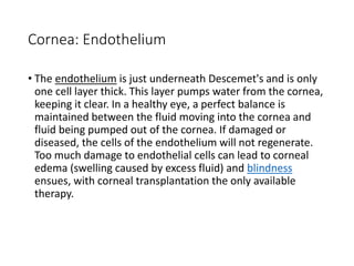 1-Anatomy-and embryology lecture of-the-EYE.pdf