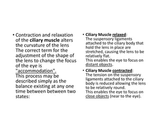 1-Anatomy-and embryology lecture of-the-EYE.pdf