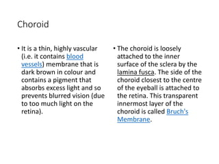 1-Anatomy-and embryology lecture of-the-EYE.pdf