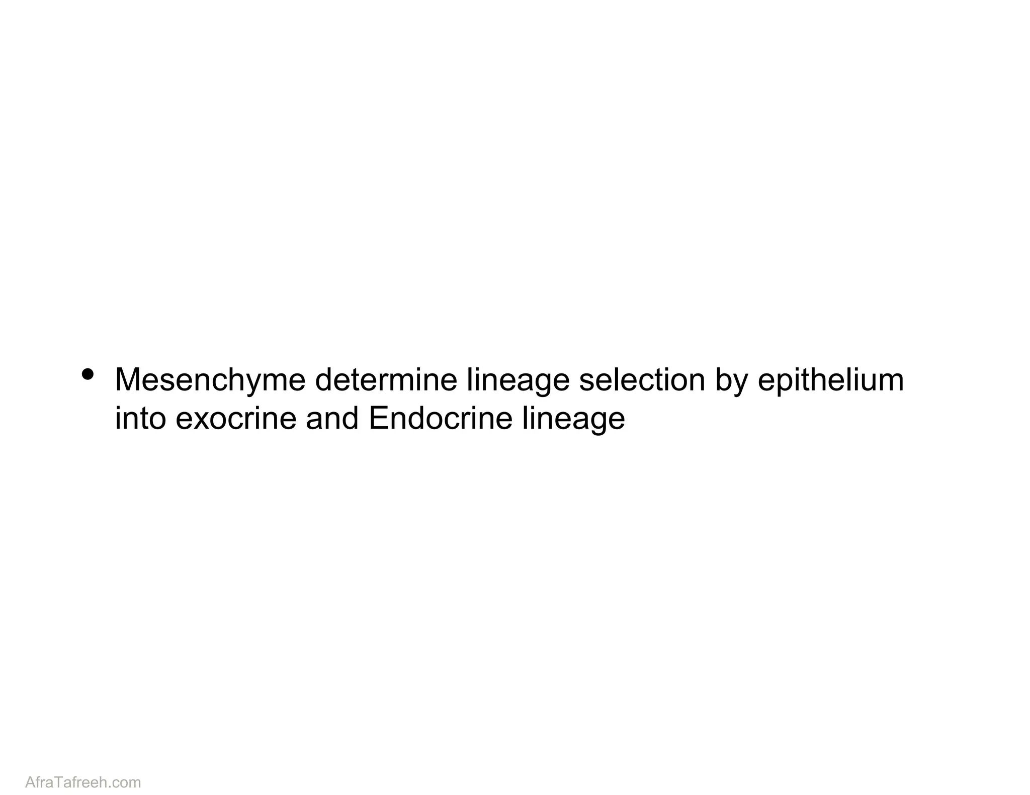 1-Anatomy and Embryology of Pancreas pdfpdf | PDF | Endocrine and ...