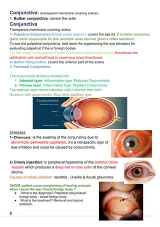 1- Anatomy and Physiology.pdf for health education | PDF