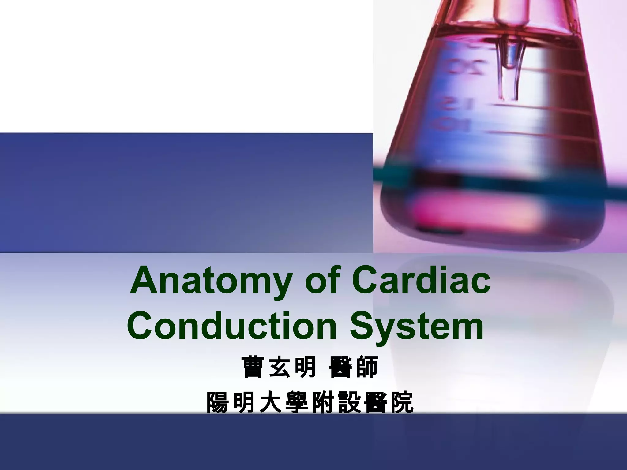 Anatomy of Cardiac Conduction System | PPT