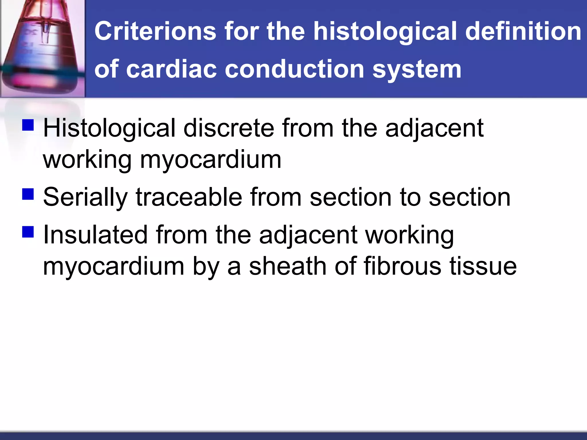 Anatomy of Cardiac Conduction System | PPT