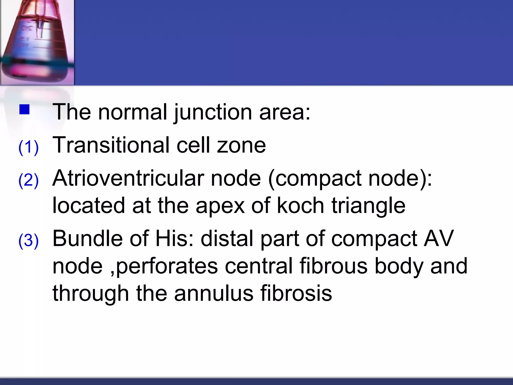 Anatomy of Cardiac Conduction System | PPT