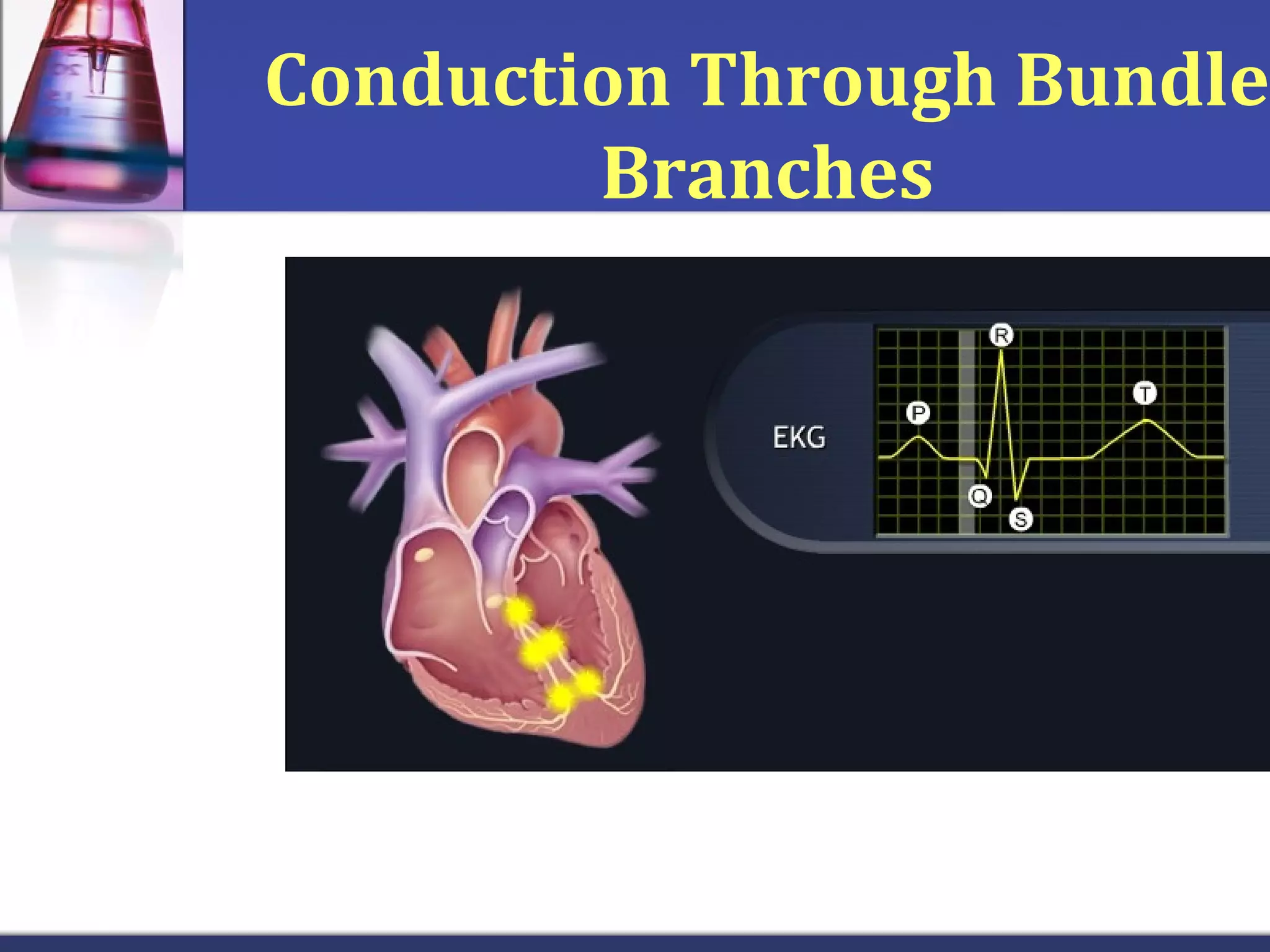 Anatomy of Cardiac Conduction System | PPT