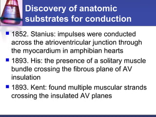 Anatomy of Cardiac Conduction System | PPT