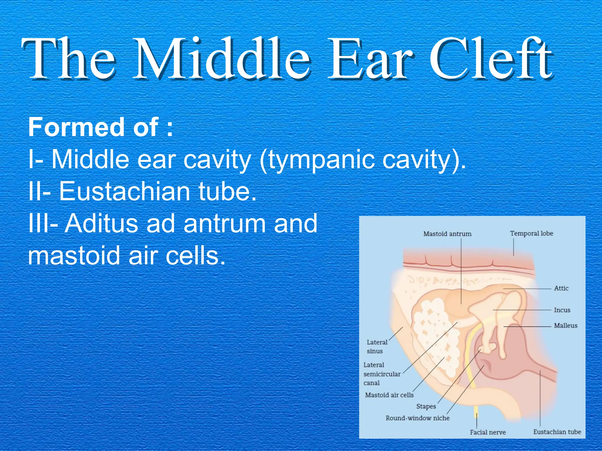 1-Anatomy of ear Anatomy of ear Anatomy of ear Anatomy of ear .pdf