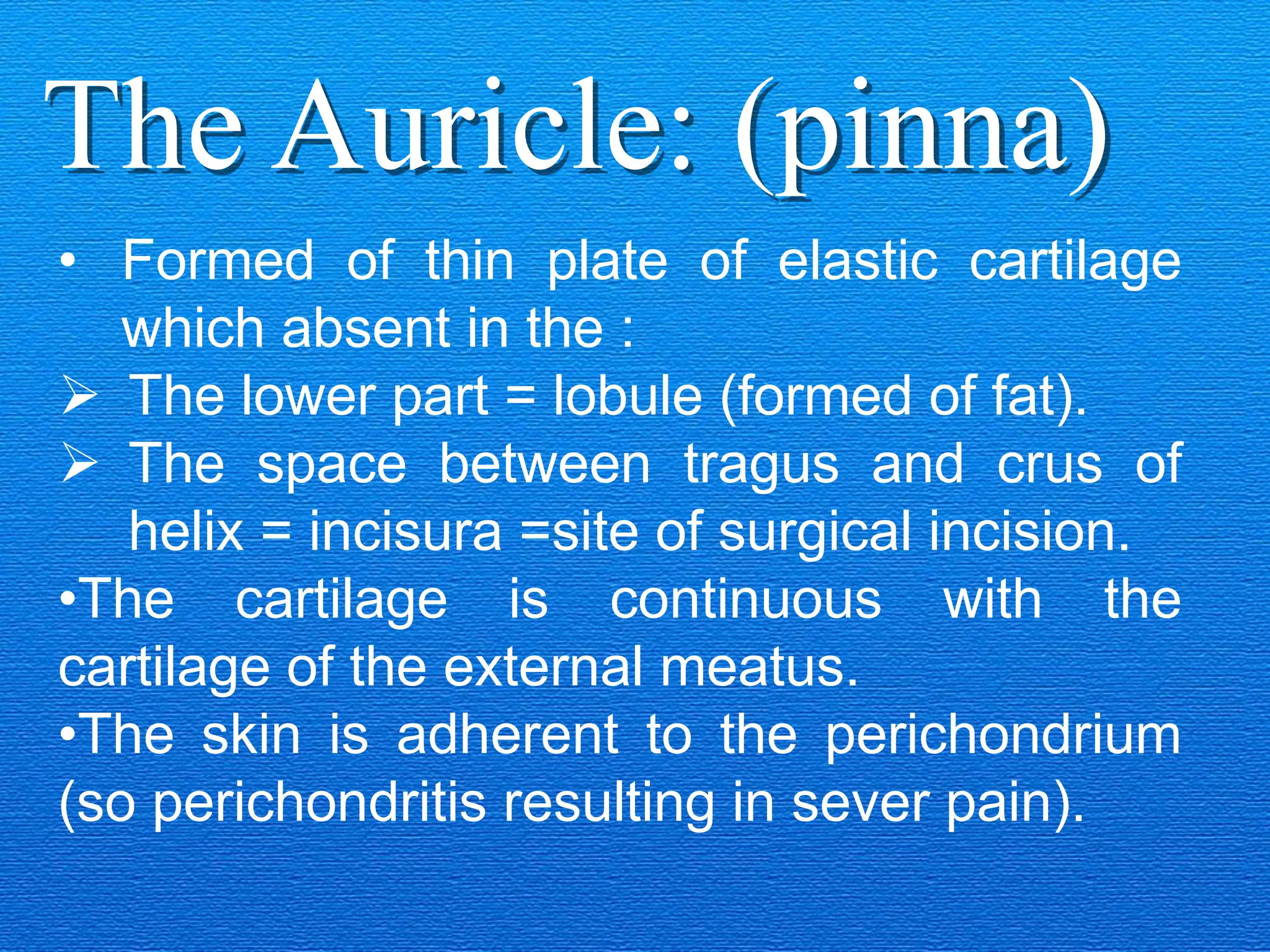 1-Anatomy of ear Anatomy of ear Anatomy of ear Anatomy of ear .pdf