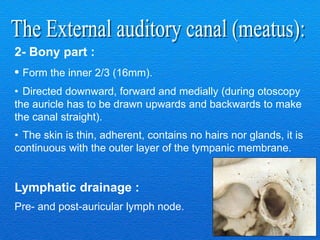 1-Anatomy of ear Anatomy of ear Anatomy of ear Anatomy of ear .pdf