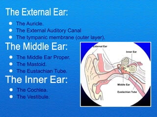 1-Anatomy of ear Anatomy of ear Anatomy of ear Anatomy of ear .pdf