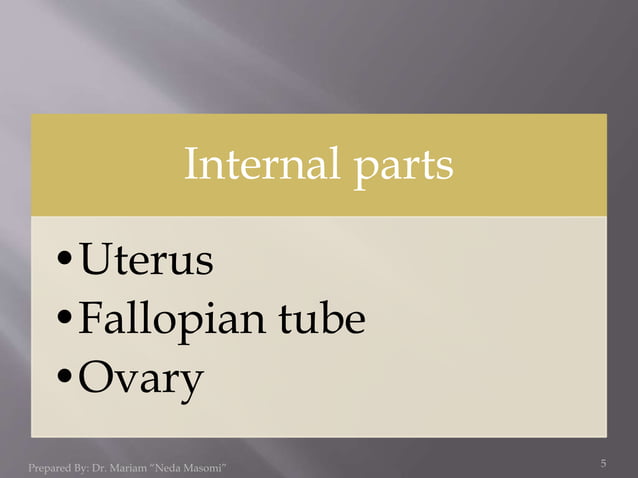 1-Anatomy of female genital tract 1.pptx