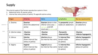 1- Anatomy of Female Reproductive System.pdf