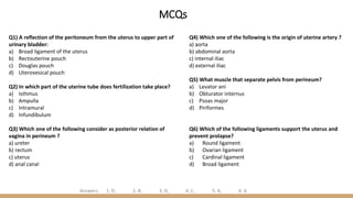 1- Anatomy of Female Reproductive System.pdf