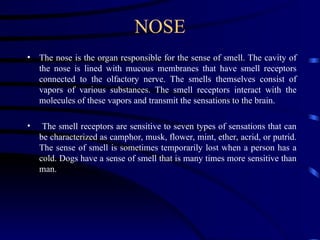 1-Anatomy of Nose.ppt Nose Anatomy HAP-1 | PPT