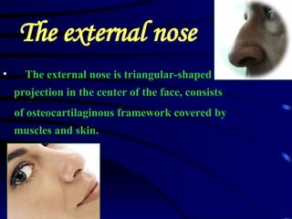 1-Anatomy of Nose.ppt Nose Anatomy HAP-1 | PPT